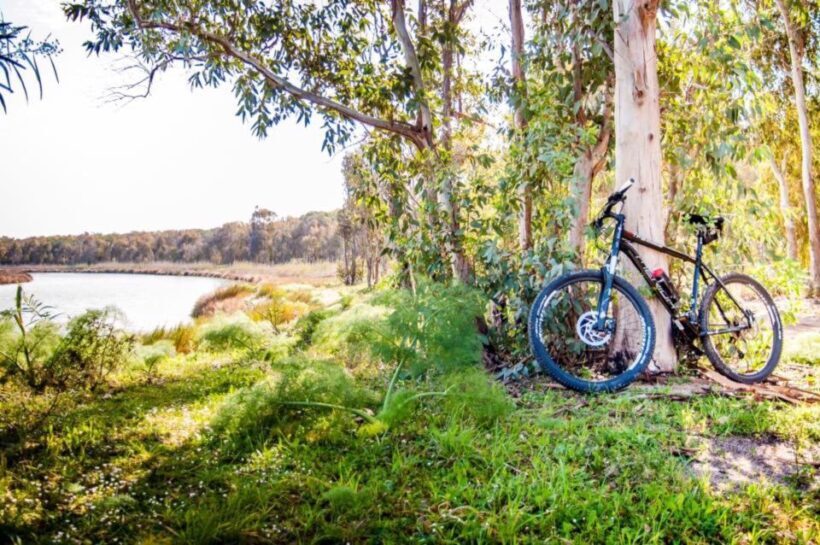 Torregrande marina bike tour - The Sum Up: Why Choose the Torregrande Marina Bike Tour?