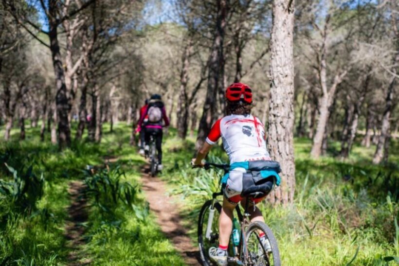 Torregrande marina bike tour - FAQ