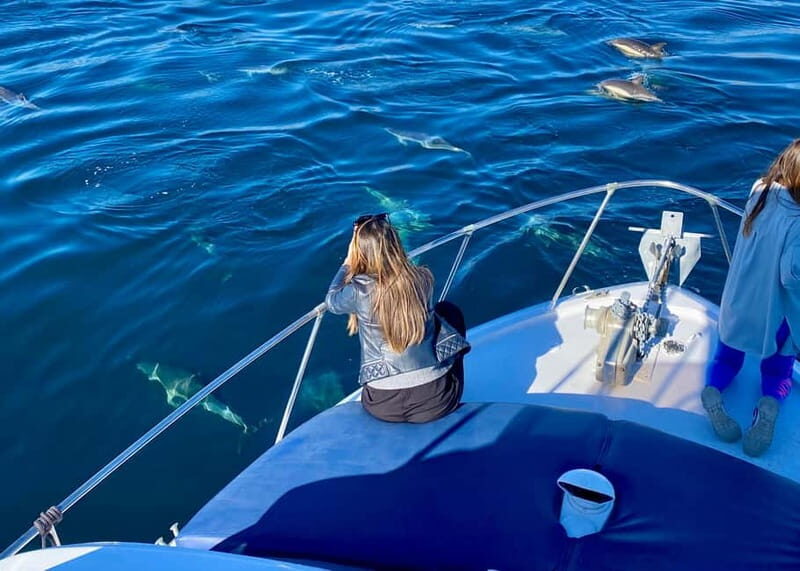 Torremolinos/Benalmadena: Private Boat Tour - Who Would Love This Tour?