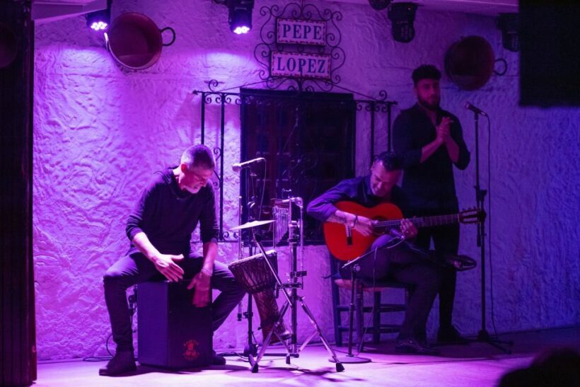 Torremolinos: Flamenco Show with Drinks - How to Make the Most of Your Visit