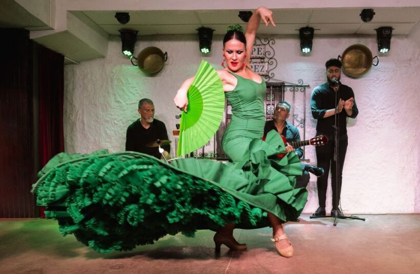 Torremolinos: Flamenco Show with Drinks - Who Should Book This Tour?