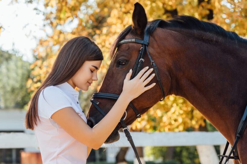 Torremolinos: Guided tour to stables of El Ranchito - Key Points