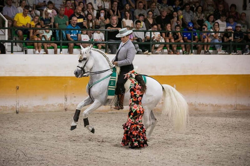 Torremolinos: Spanish horse show and flamenco with dinner option - A Closer Look at the Experience
