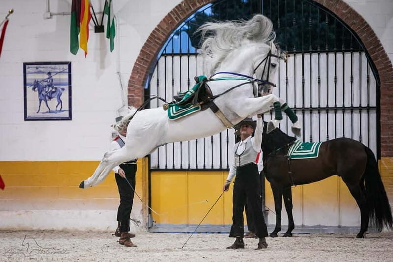 Torremolinos: Spanish horse show and flamenco with dinner option - FAQs
