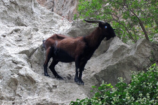 Torrent de Pareis - Who Should Consider This Tour?