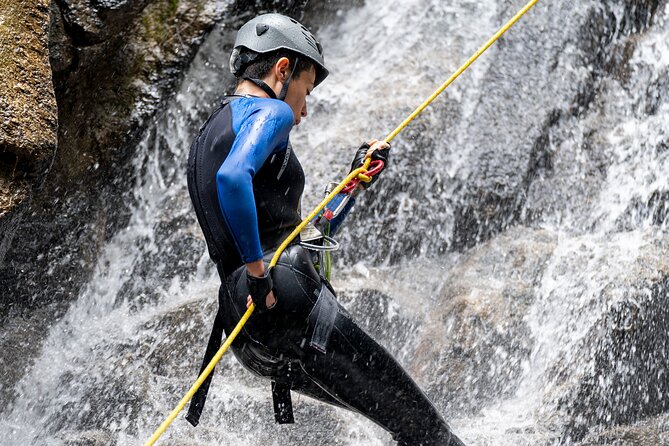 Torrentism in Medellín - Dietary Accommodations