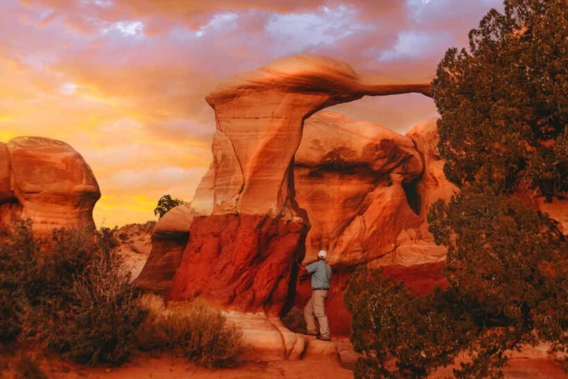 Torrey: Cosmic Ashtray, Devil's Garden, and Cedar Wash Tour - Introduction