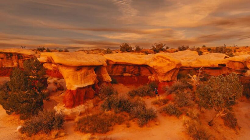 Torrey: Cosmic Ashtray, Devil's Garden, and Cedar Wash Tour - The Value of the Experience