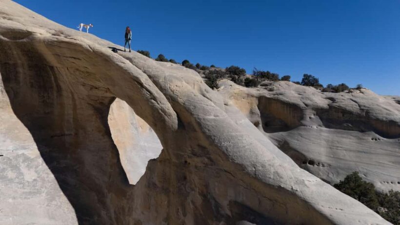 Torrey: Cosmic Ashtray, Devil's Garden, and Cedar Wash Tour - Who Should Consider This Tour?