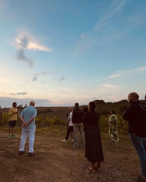TOSCANA -Guided Tour, Wine Tasting, and Local/Syrian Bites - Exploring the Tuscany Wine and Food Tour at La Chimera DAlbegna