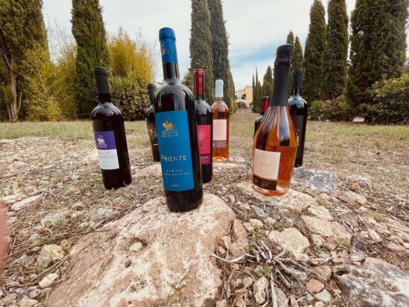 TOSCANA -Guided Tour, Wine Tasting, and Local/Syrian Bites - Who Will Love This Tour?