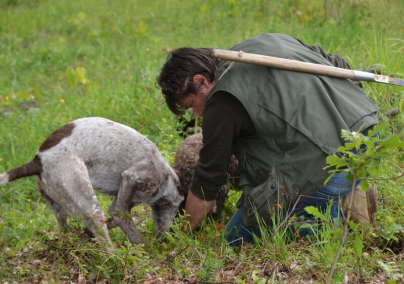 Toscana: Truffle Hunting and Tasting - The Practicalities: What You Should Know