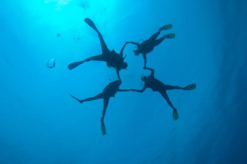 Tossa de Mar: PADI Discovery Scuba Diving in Costa Brava - The Sum Up