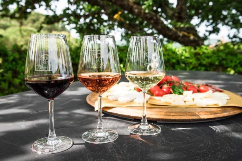 Total Immersion Experience Italian version - Authentic Tuscan Charm: A Review of the Total Immersion Experience at Montemaggio