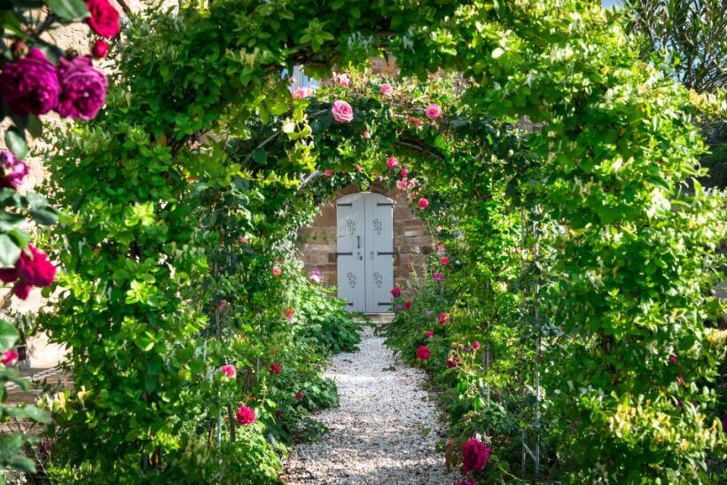 Total Immersion Wine Tour in Chianti - Why This Tour Resonates with Travelers