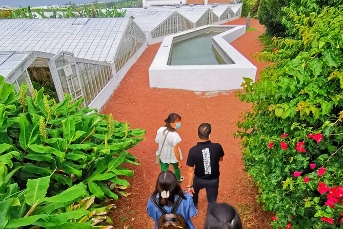 Totally personalized private tour to Sete Cidades and Lagoa do Fogo (west) - Who Will Love This Tour?