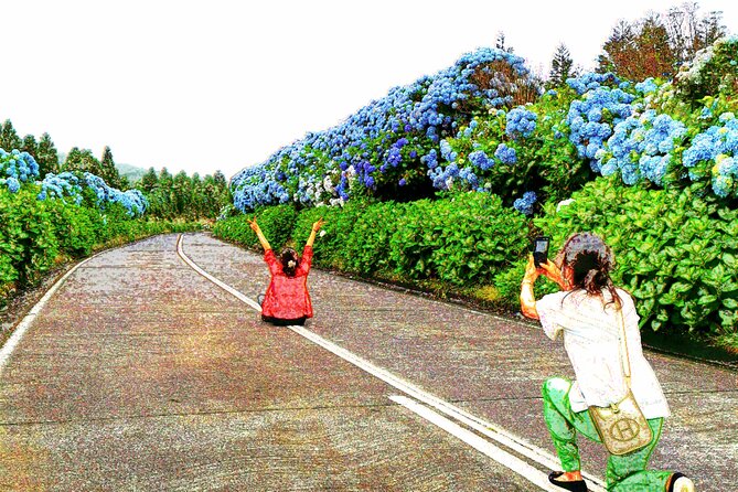 Totally personalized private tour to Sete Cidades and Lagoa do Fogo (west) - The Sum Up: Why This Tour Stands Out