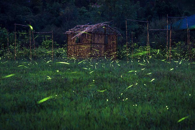 Totláli fireflies sighting - Starting Point and Meeting Details