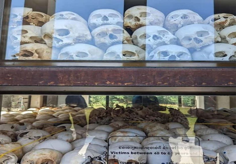 Toul Sleng & Choeung Ek Genocide Museum Tour in Phnom Penh - What the Tour Covers