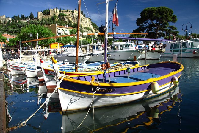 Toulon private Shore Excursion: A taste of Provence - Who Should Consider This Tour?
