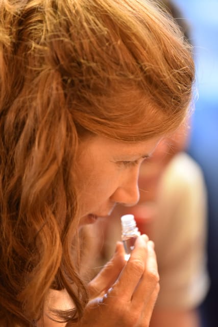 Toulouse : Cheese & wine tasting workshop with a cheesemaker - Discovering Toulouse’s Cheese & Wine Workshop