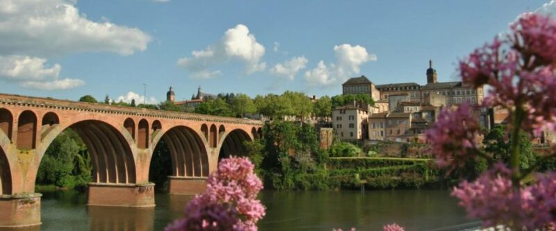 Toulouse: Guided Tour of the Historic Center - Who Will Love This Tour?