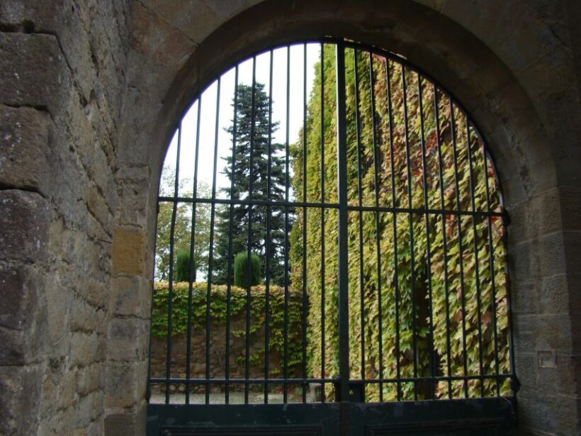 Toulouse to Carcassonne & Albi: Private Sightseeing Tour - Introduction: An Authentic Day Trip Close to Toulouse