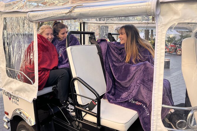 Toulouse Tour in Electric Tuk Tuk - Immersive Tour Experience