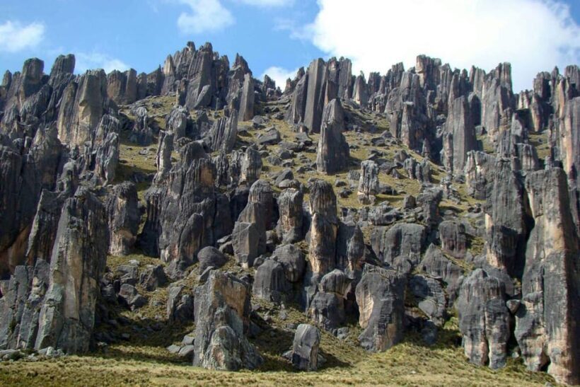 Tour 10 Hours Pillones Waterfall and Puruña Stone Forest - Lunch and Return Journey