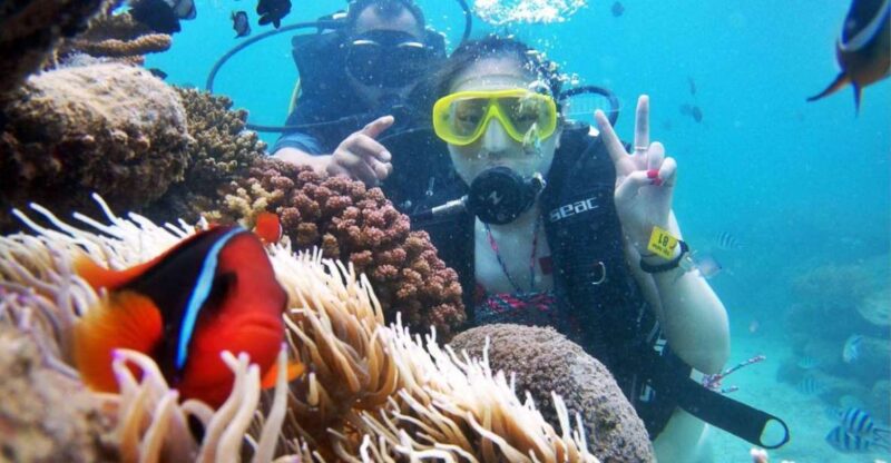 Tour 3 islands of Nha Trang - Key Points