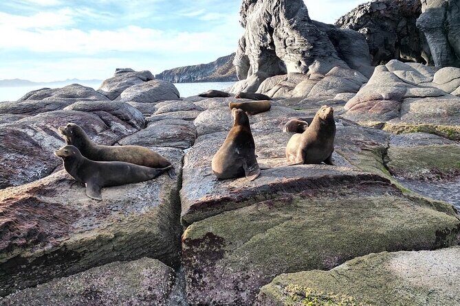 Tour a la Isla Coronados con actividad de esnorquel - Frequently Asked Questions