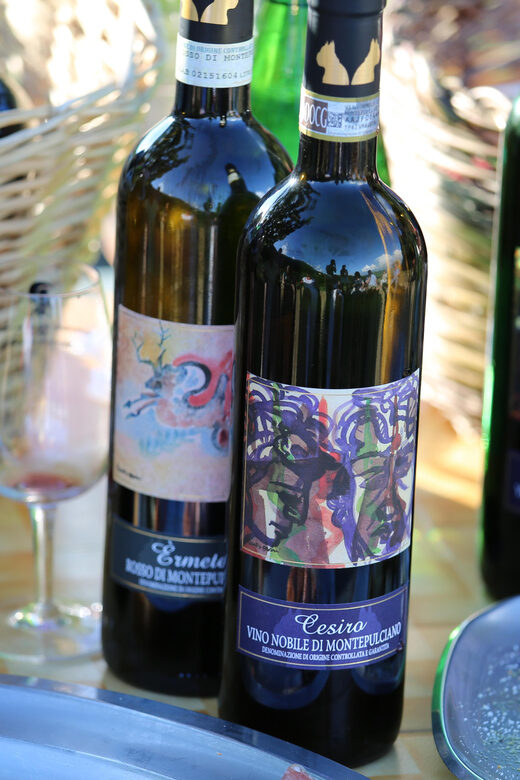 TOUR AND LUNCH AT THE CELLAR, SAUSAGES BY THE VINEYARD - An Overview of the Experience