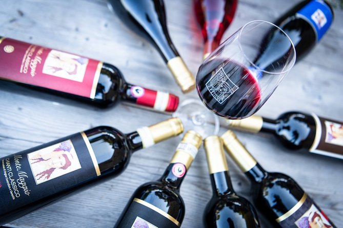 Tour and Tasting at an Organic Winery in the Heart of Chianti Classico Area - Exploring the Chianti Classico Vineyards