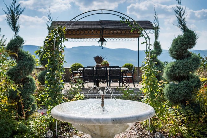 Tour and Tasting at an Organic Winery in the Heart of Chianti Classico Area - Enjoying the Scenic Views and Atmosphere