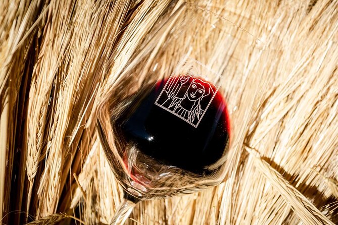 Tour and Tasting at an Organic Winery in the Heart of Chianti Classico Area - Practical Information for Visitors