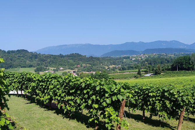 Tour and tasting in the hills of Prosecco Superiore DOCG - Practical Details