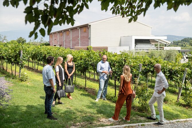 Tour and Tasting of Organic Wines in Lazise - Savoring the Organic Wine Varietals