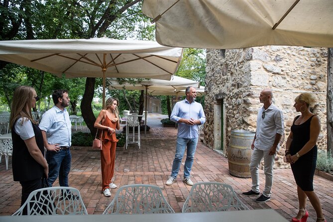 Tour and Tasting of Organic Wines in Lazise - Learning About Production Methods
