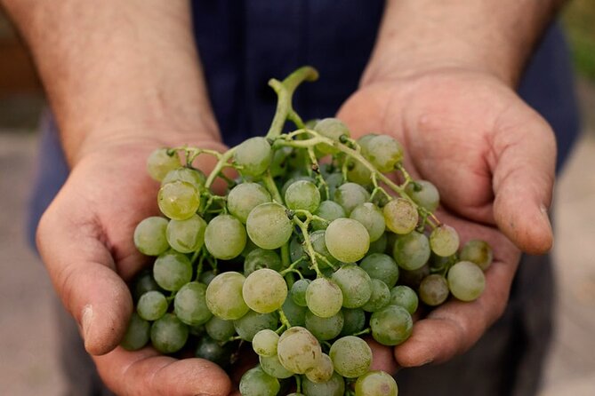 Tour and Tasting of Sparkling Wines in Valeggio - FAQ