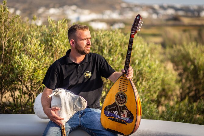 Tour and Wine Tasting in Mykonian Land - Who Will Love This Tour?