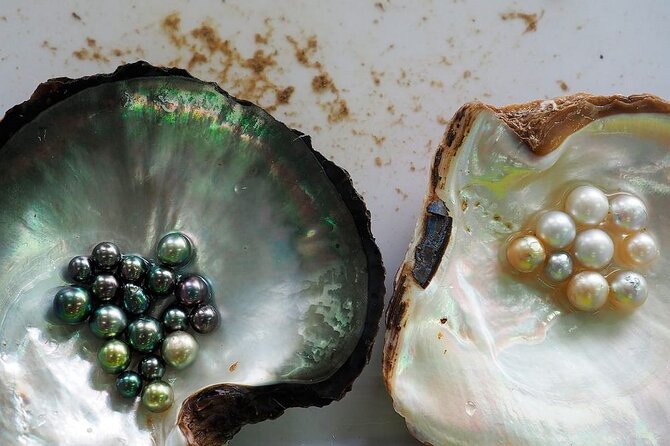 Tour Around Phu Quoc island By AC Minibuses - Who Should Consider This Tour?