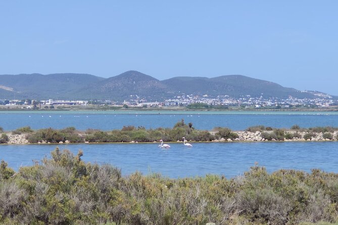 TOUR Around the JEWELS of IBIZA SALT BEDS, ES VEDRA, TIME & SPACE - Exploring the Salt Flats of Ibiza