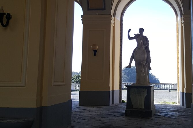 Tour at the Royal Palace of Portici and the Golden Mile - Traveler Reviews and Feedback