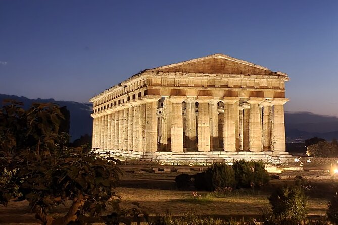 Tour at the Temples and the National Museum of Paestum - Meeting Details
