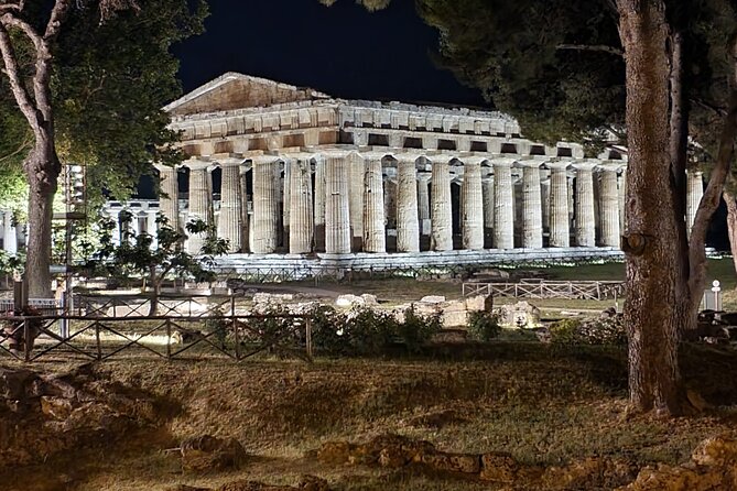 Tour at the Temples and the National Museum of Paestum - Customer Feedback