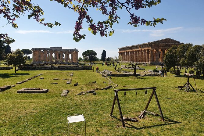 Tour at the Temples and the National Museum of Paestum - Practical Tips for Visiting Paestum