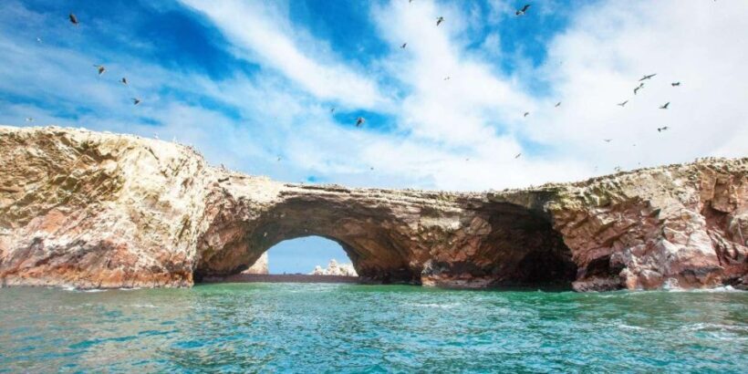 Tour: Ballestas Islands and the Paracas National Reserve - An Overview of the Tour Experience