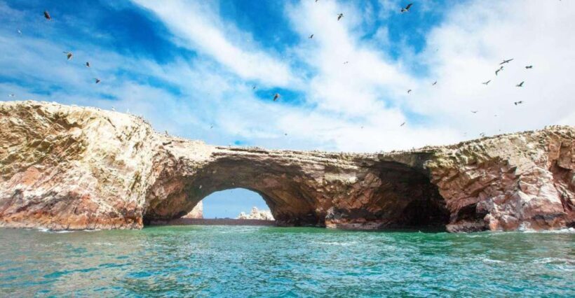Tour: Ballestas Islands and the Paracas National Reserve - Who Will Love This Tour?