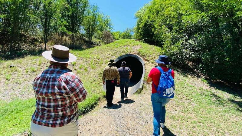 Tour "Bioparque" + Traslados + Tickets incluidos - The Safari Experience: Animals and Interactions