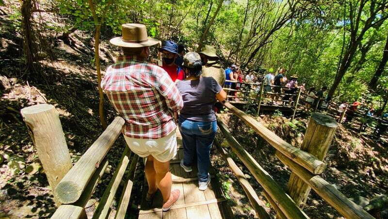 Tour "Bioparque" + Traslados + Tickets incluidos - Who Will Love This Tour?